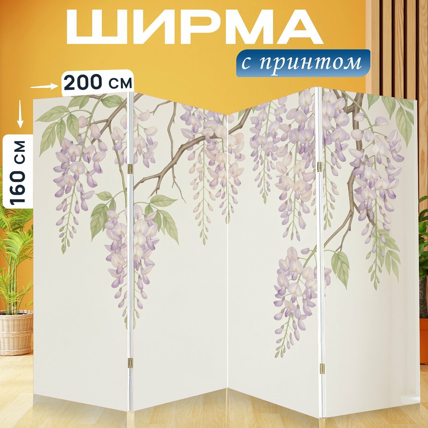 Ширма "Цветущая глициния на ветвях. Нежные сиреневые кисти с зелёной листвой свисают с изогнутых древесных." перегородка для зонирования комнаты с принтом 200x160 см. на холсте