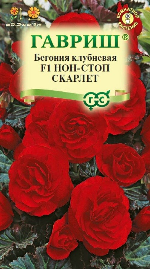 Семена бегонии Гавриш Нон-стоп Скарлет, клубневая, 4 шт 10003290