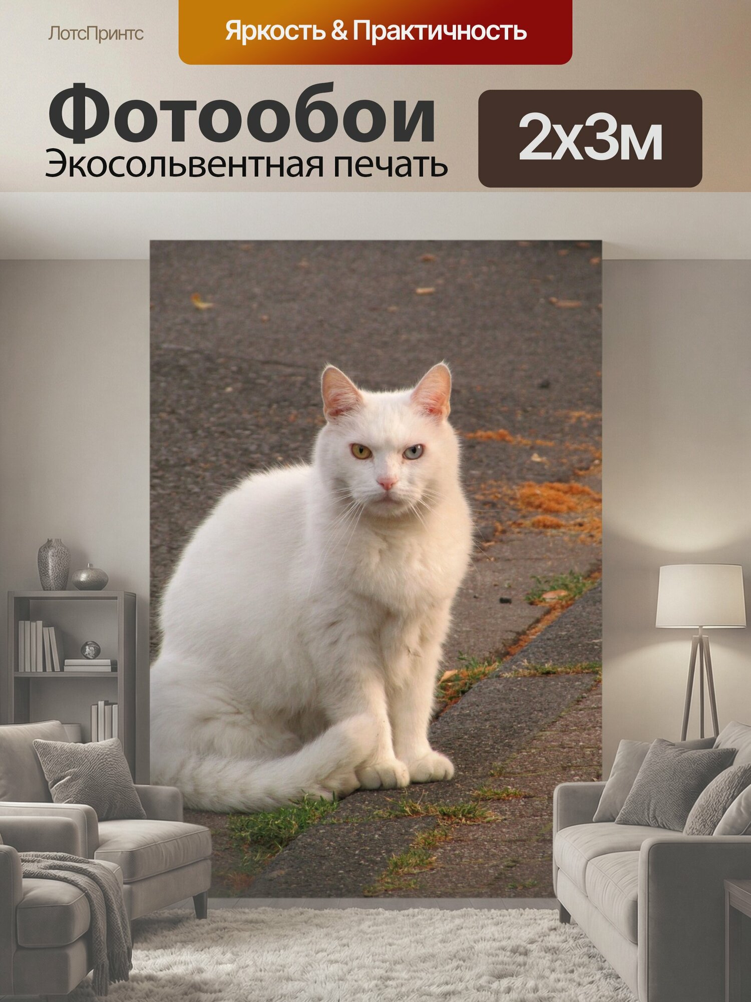 Фотообои "Кот, домашняя кошка, белый кот" 200x300 см. экосольвентная печать