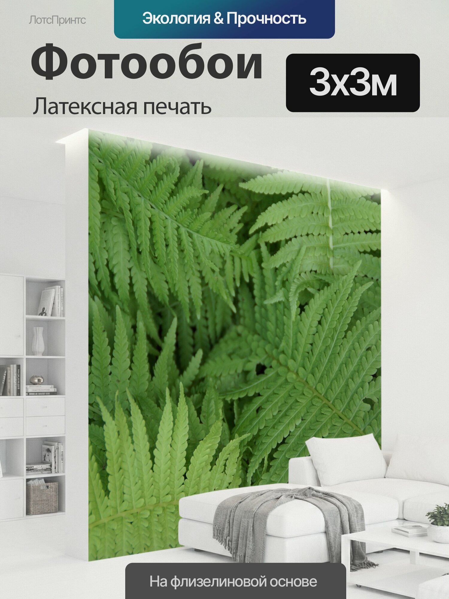Фотообои моющиеся ударопрочные "Папоротники, листья папоротника, папоротник" 300x300 см. латексная печать