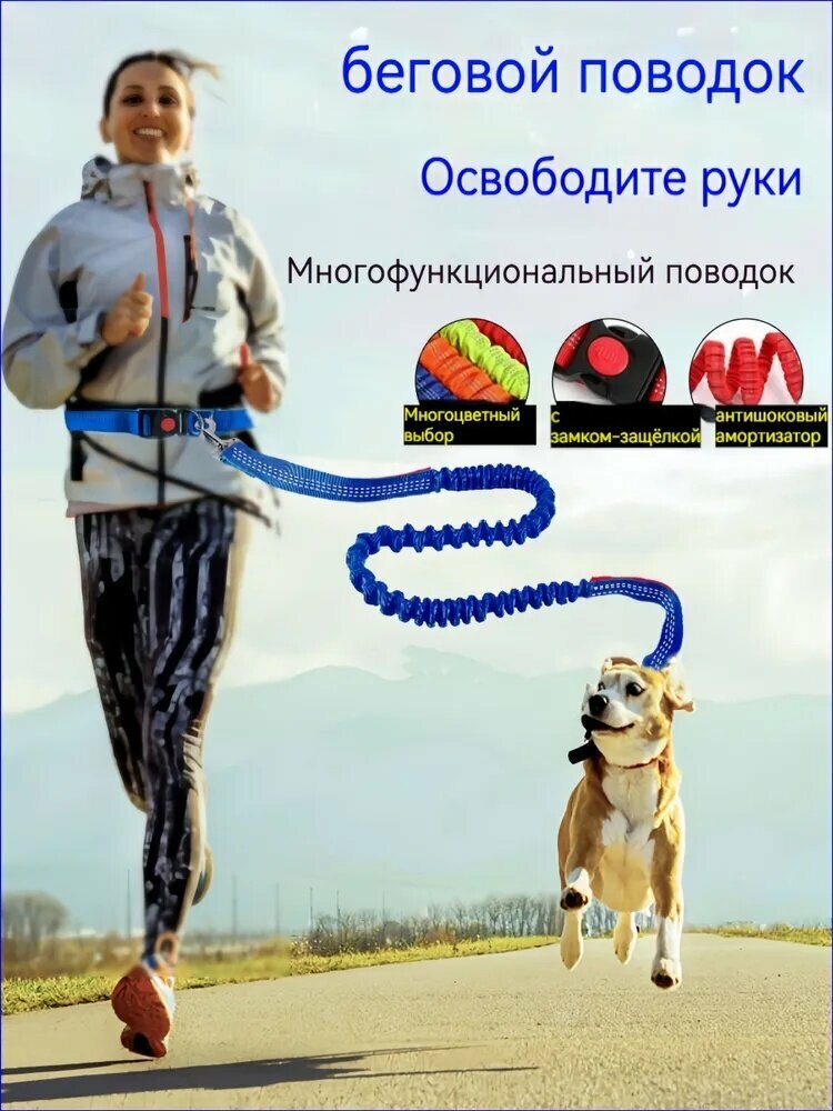 Бестселлер, поводок для выгула