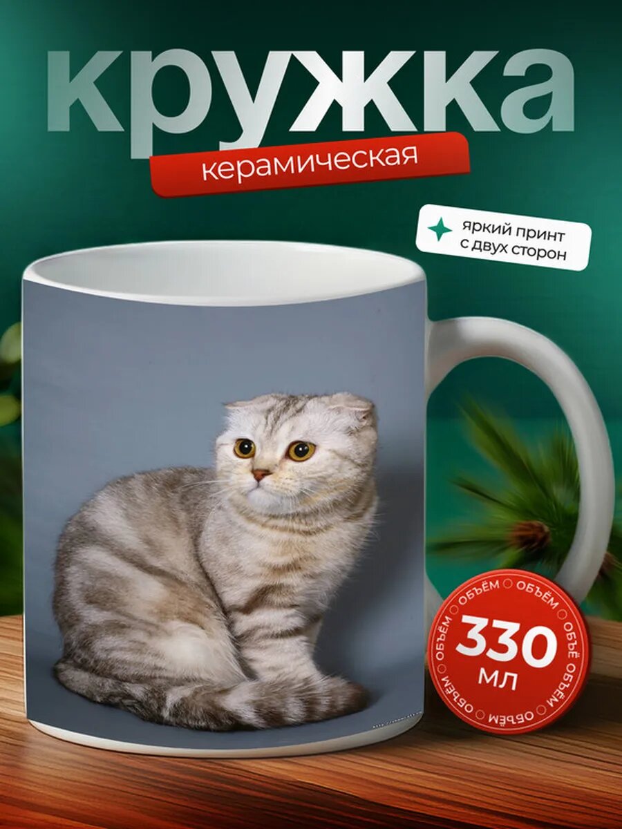 Кружка Шотландская вислоухая кошка 7,