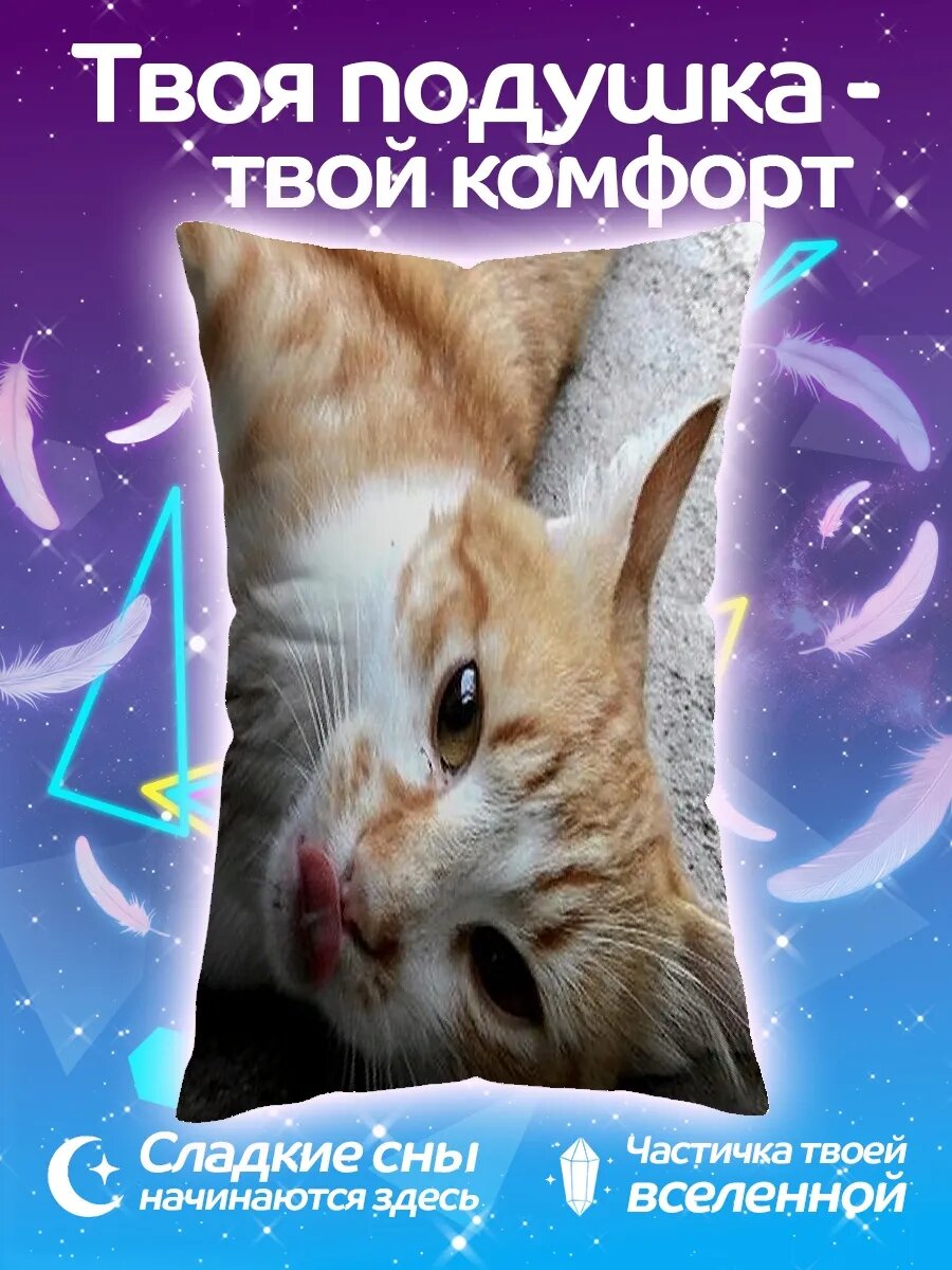 Подушка дакимакура Рыжий кот лежит