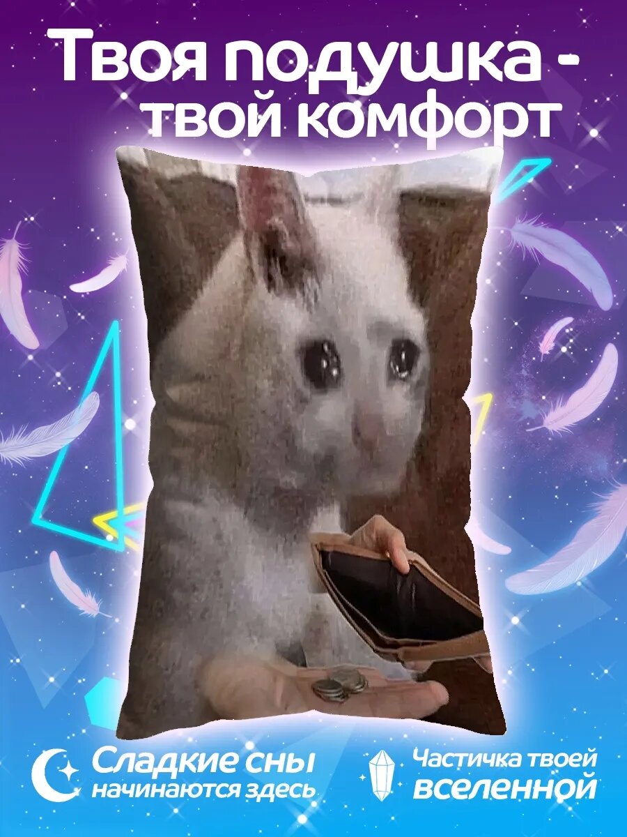 Подушка дакимакура Грустный кот с деньгами