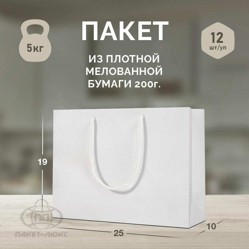 Пакет бумажный подарочный, упаковка 12 штук, размер 25*19*10 см, ламинированный, белый , матовый, плотный