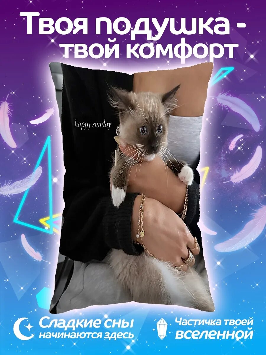 Подушка дакимакура Котенок с надписью