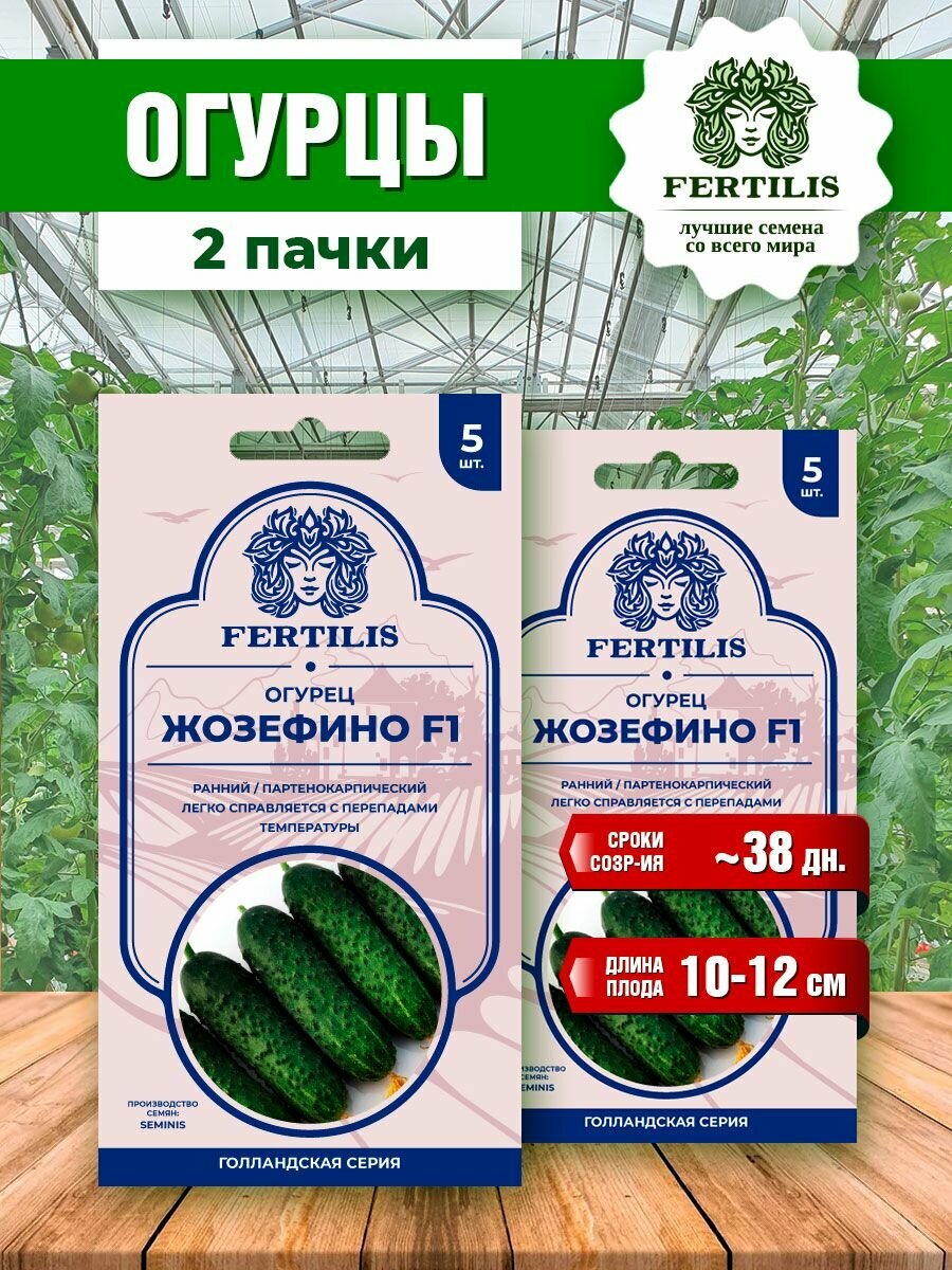 Семена урожайного огурца Жозефино F1 от компании Fertilis (2 пачки)