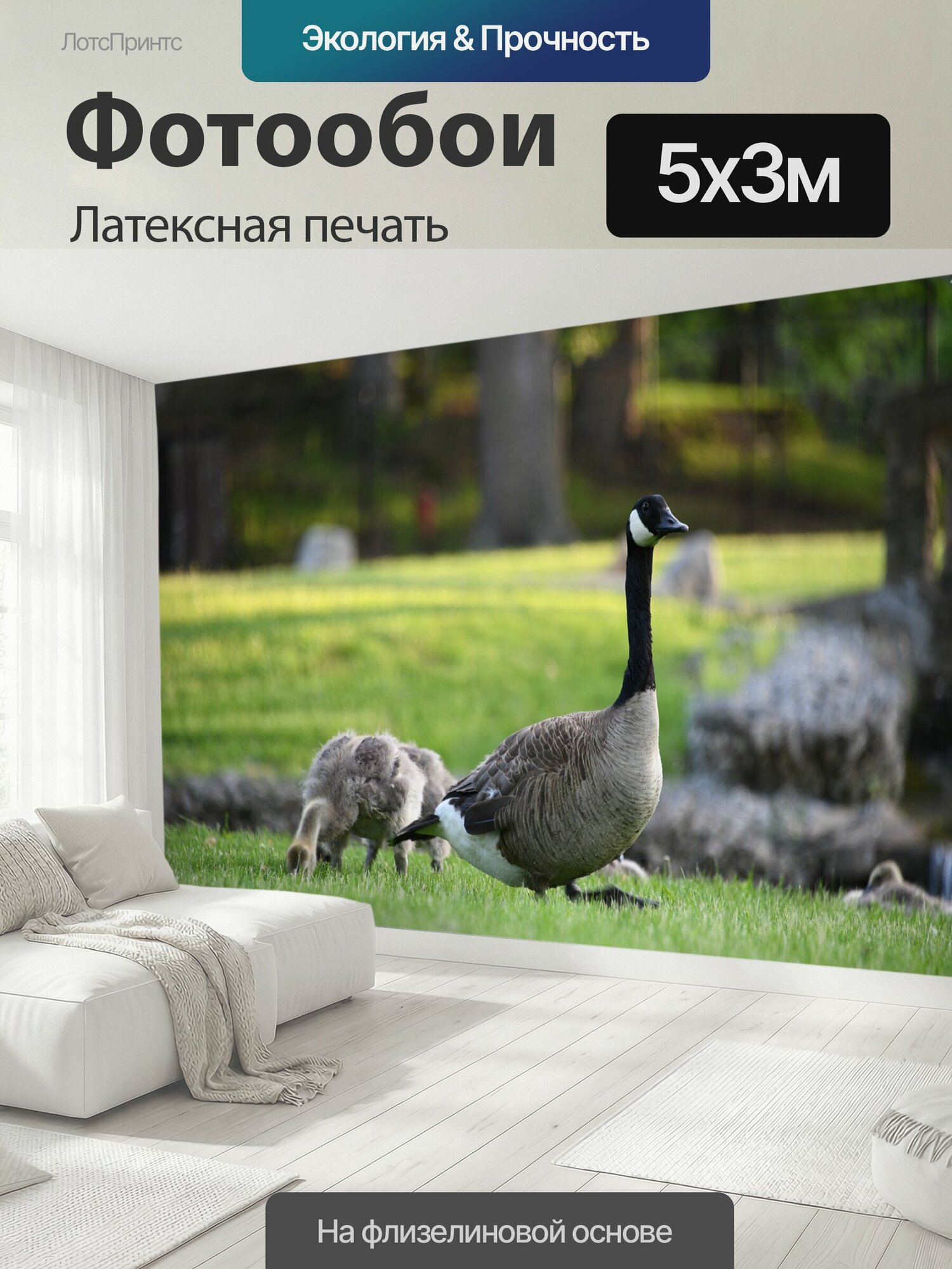 Фотообои моющиеся ударопрочные "Гуси, гусянка, стайка" 500x300 см. латексная печать