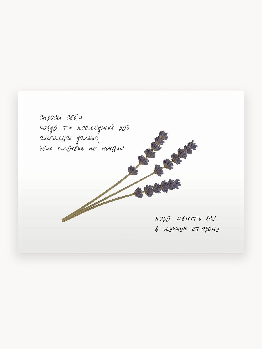 Открытка с сухоцветами meswero signature / тише / меняй