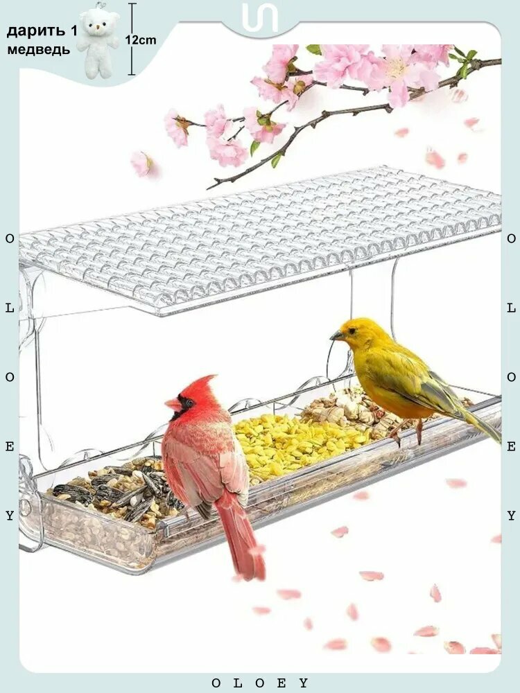 Кормушка для птиц за окном кормушка для птиц
