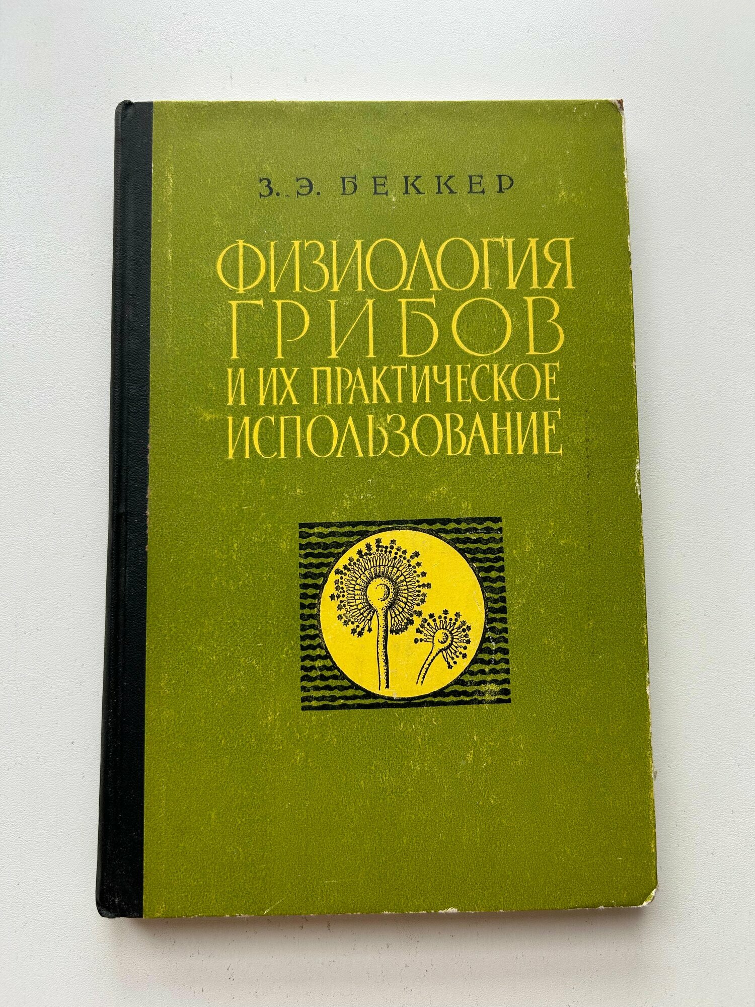 Книга Физиология грибов и их практическое использование. Издание 1963 года