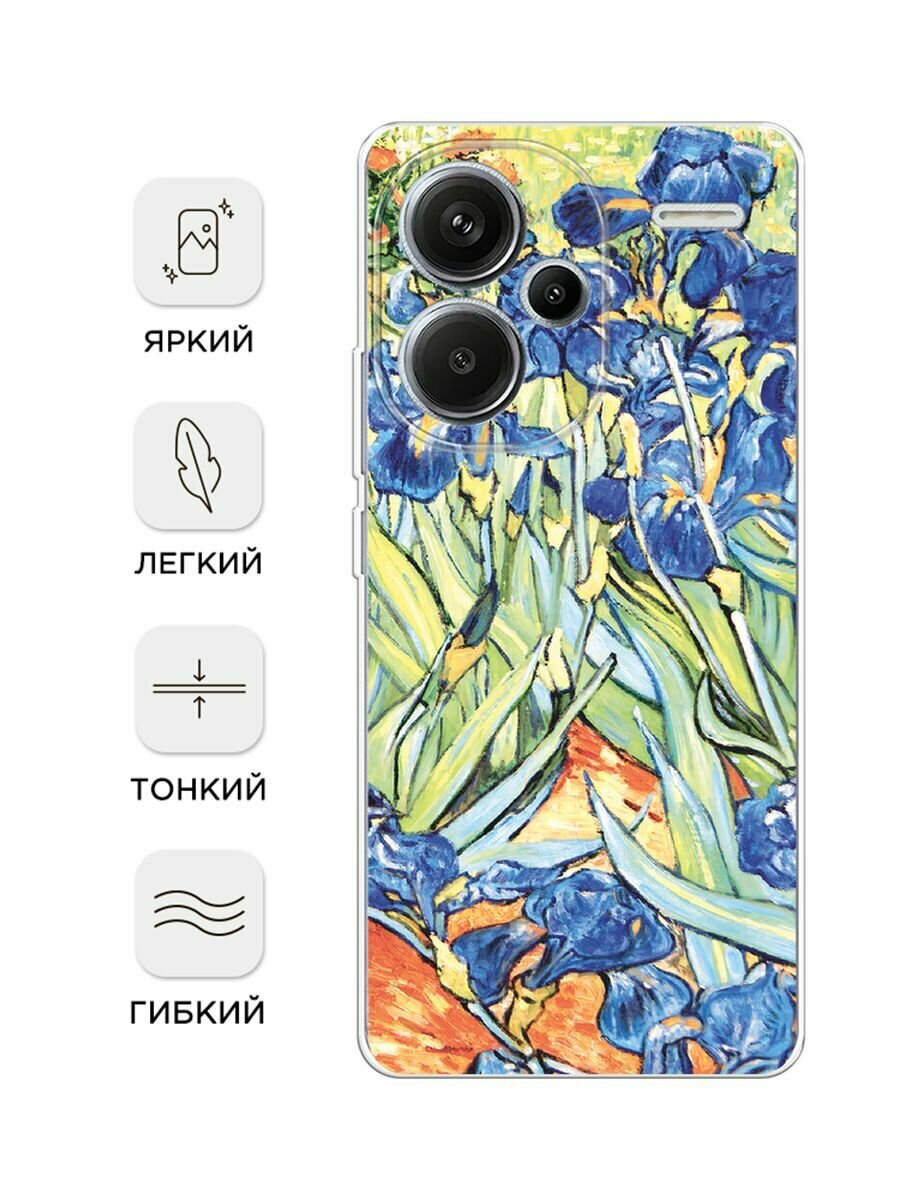 Чехол на Xiaomi Redmi Note 13 Pro+ / Сяоми Редми Нот 13 Про + с принтом "Ирисы Ван Гог" — фото 1