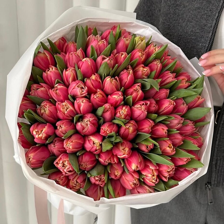 Букет из розовых тюльпанов 51 шт, красивый букет цветов, шикарный, премиум цветы, премиум букет