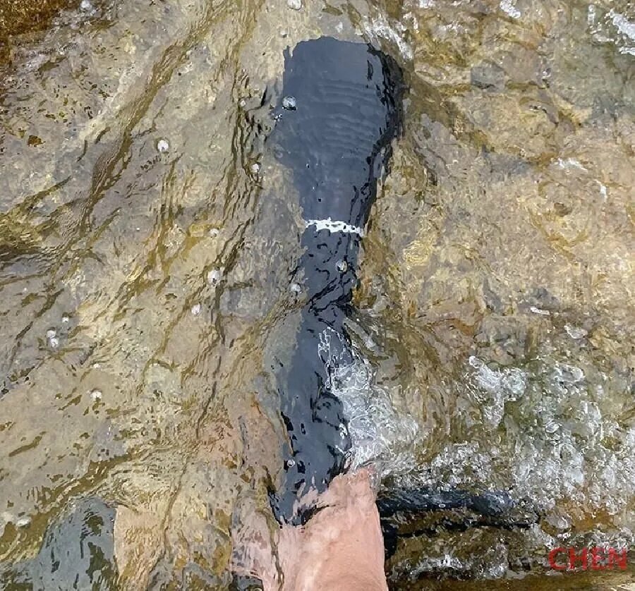 Подводный фонарь — фото 1