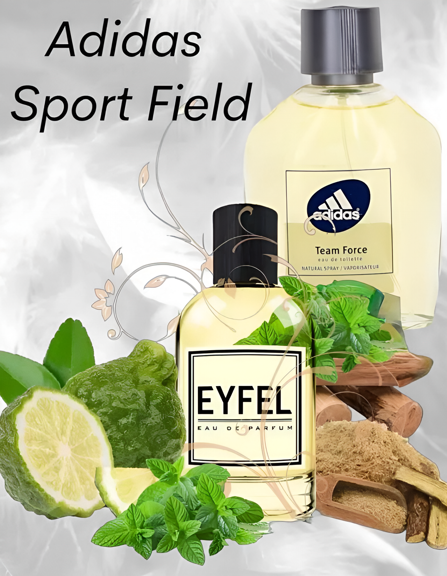 Духи мужские EYFEL M27 Sport Field, фужерные пряные, парфюм 50 мл