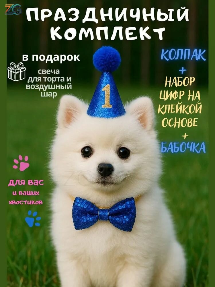 Аксессуары для праздника питомца синий набор: колпак, бабочка