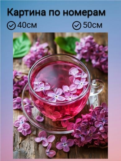 Картина по номерам: создайте шедевр своими руками! Kolibriki (размер 40х50 см)