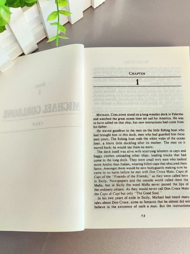 Печатная книга — фото 1