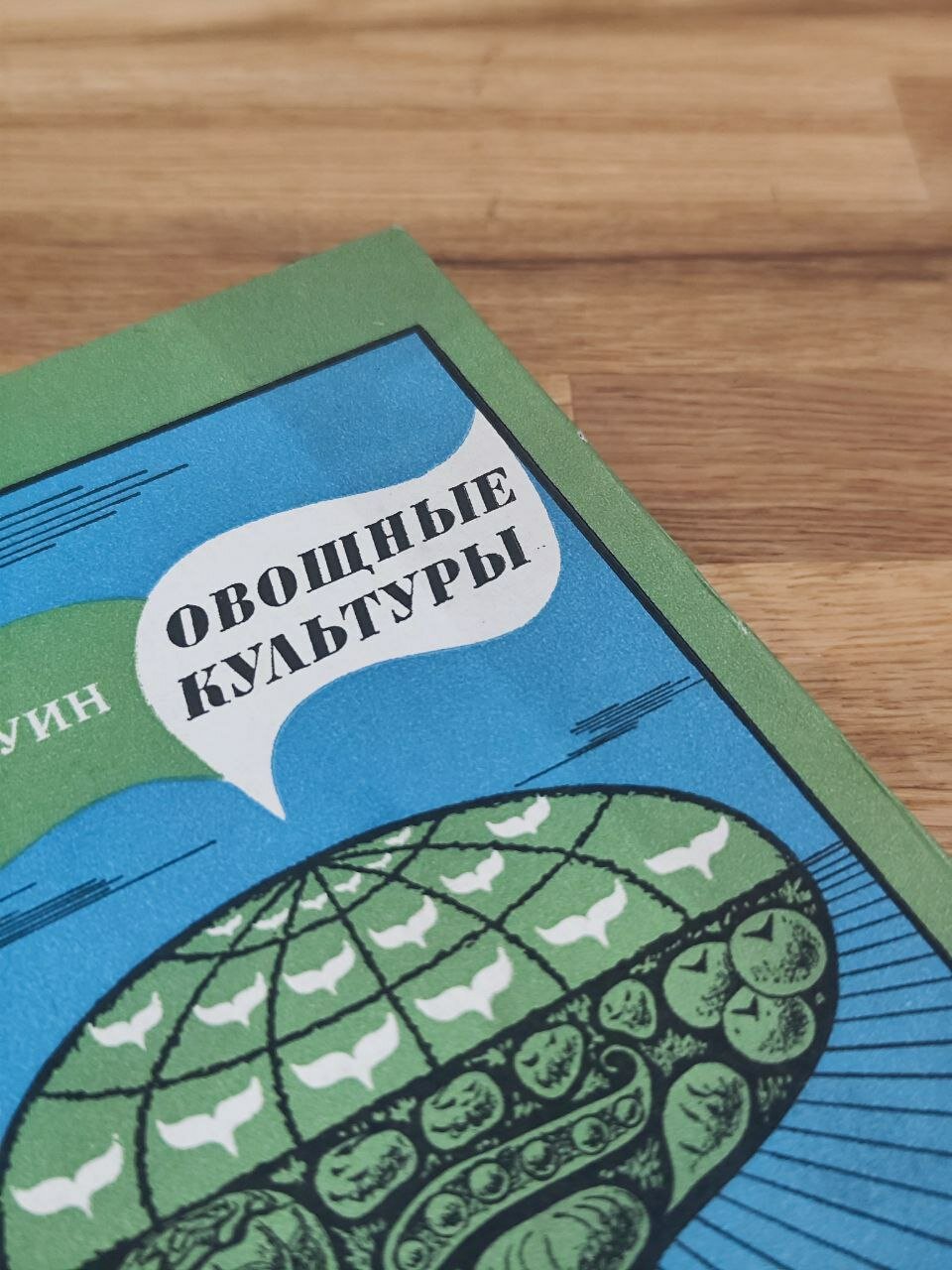 Овощные культуры — фото 1