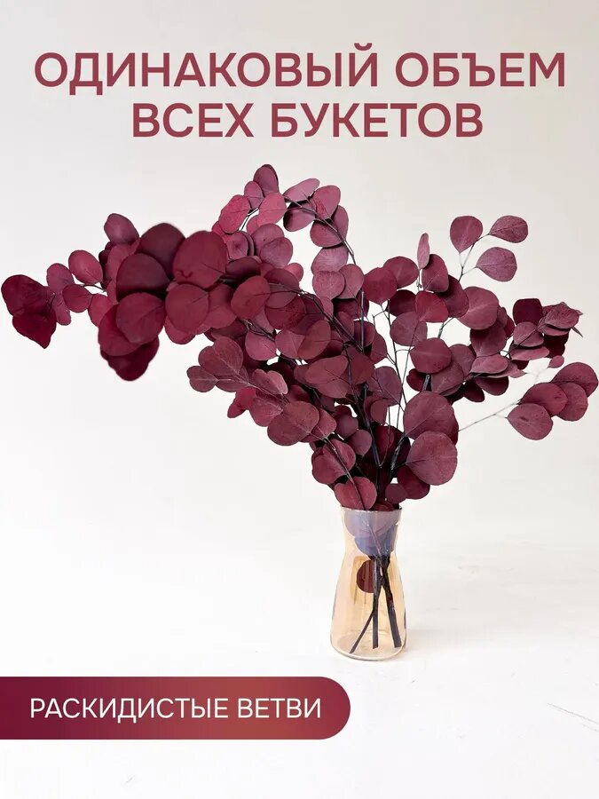 Стабилизированный эвкалипт, сухоцветы для декора