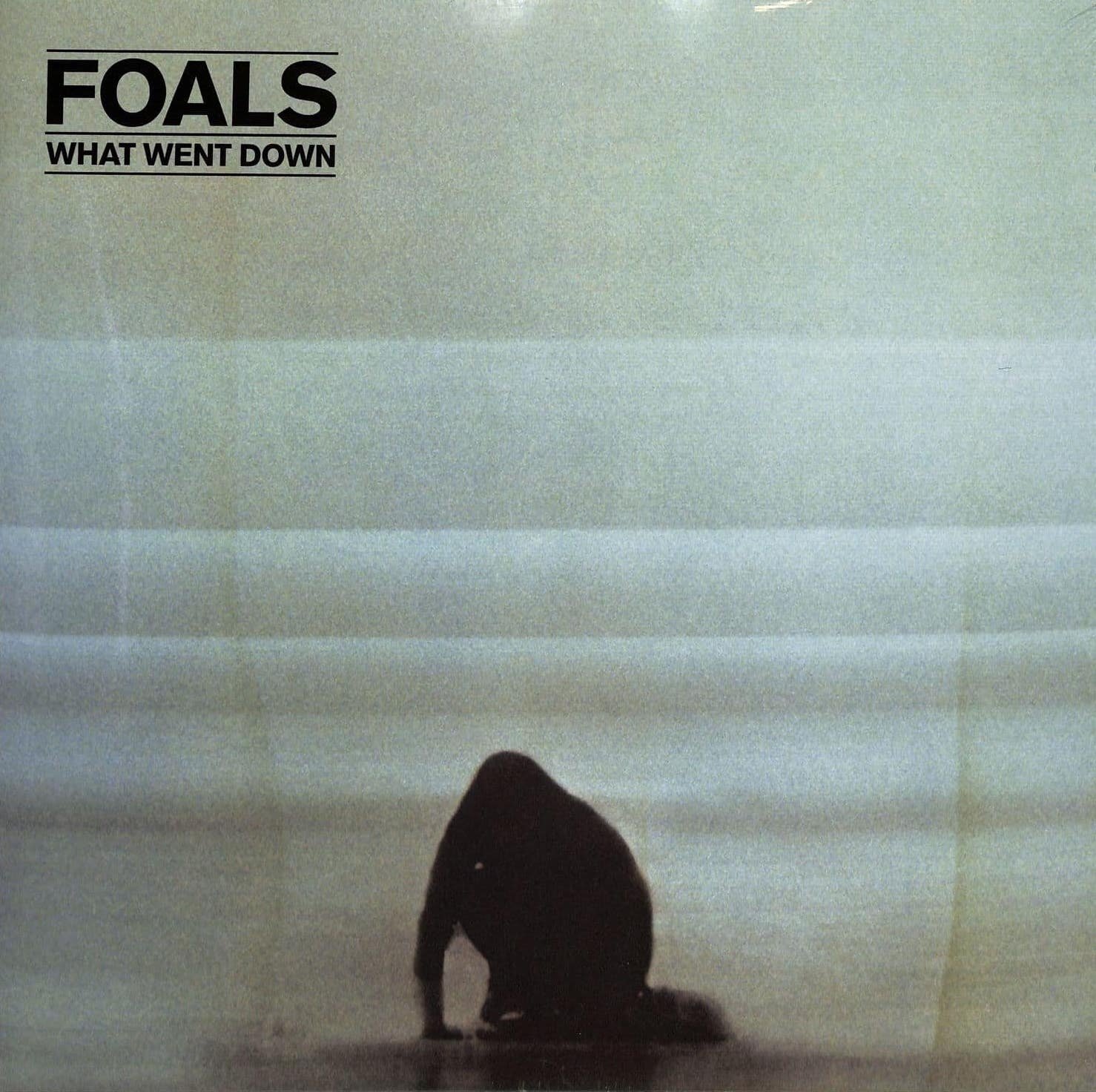 Виниловая пластинка Foals What Went Down