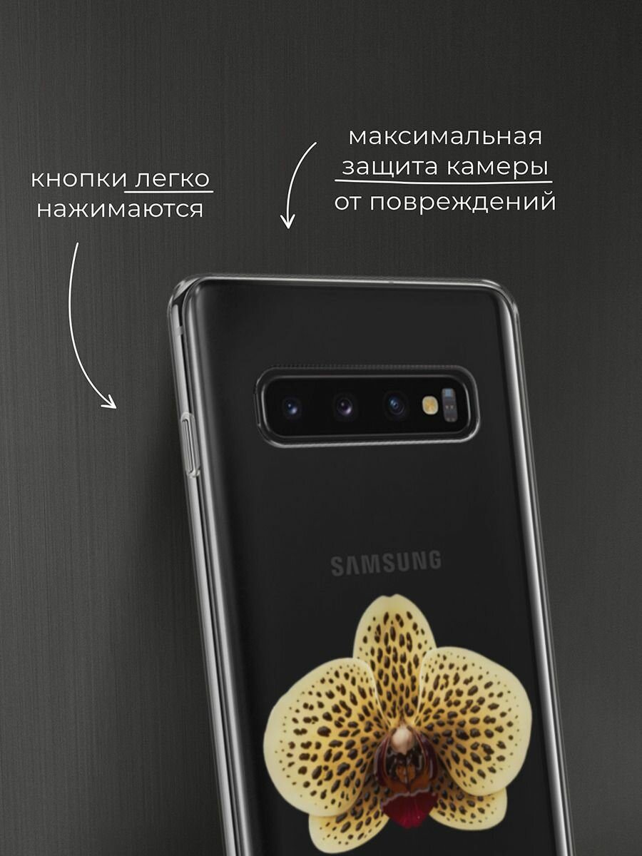 Чехол на Samsung Galaxy S10 / Самсунг Галакси S10 с принтом Желтая орхидея — фото 1
