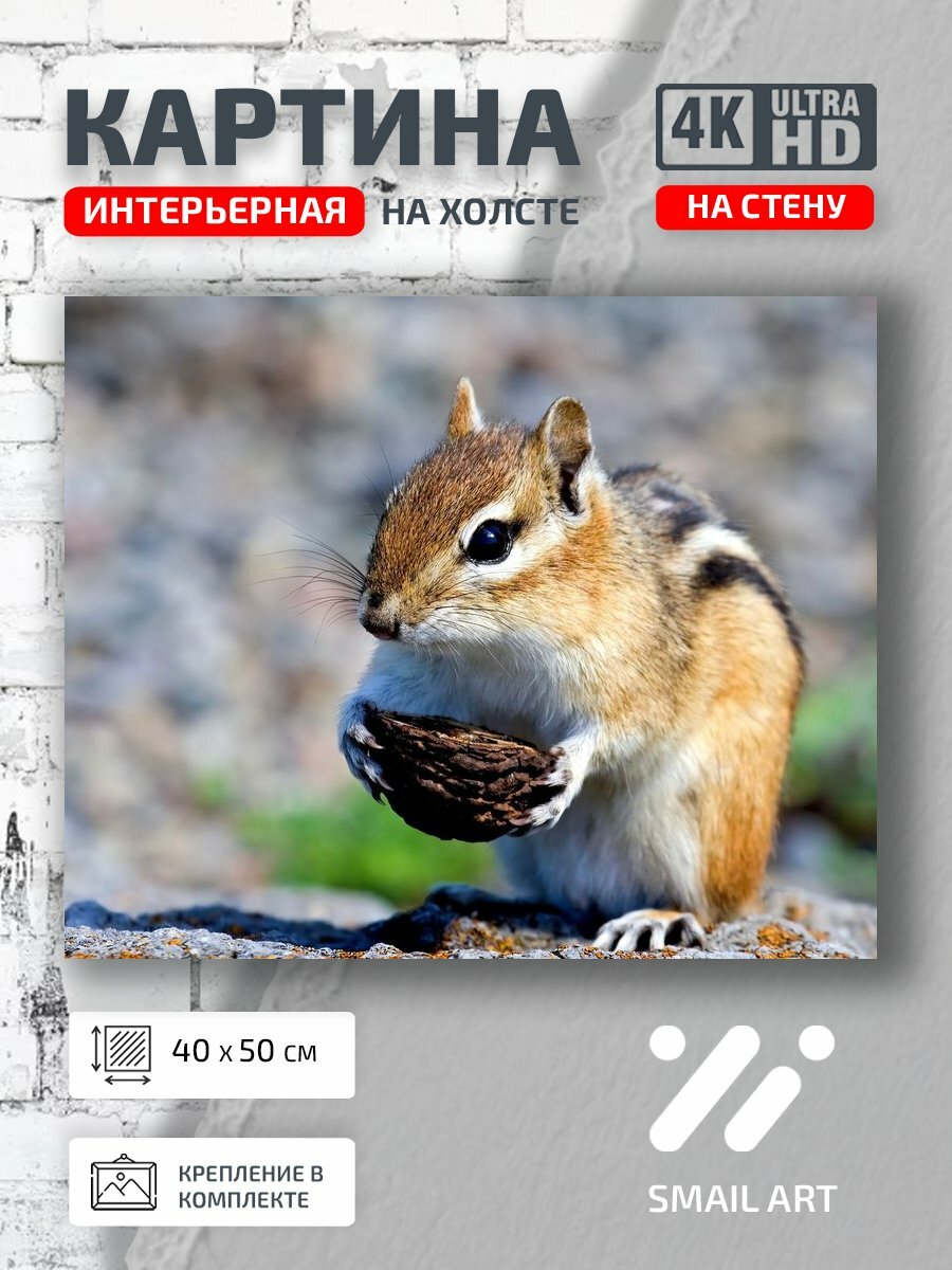 Картина на холсте интерьерная 40 на 50 на стену Орехом Mood для студии атмосфера интерьер