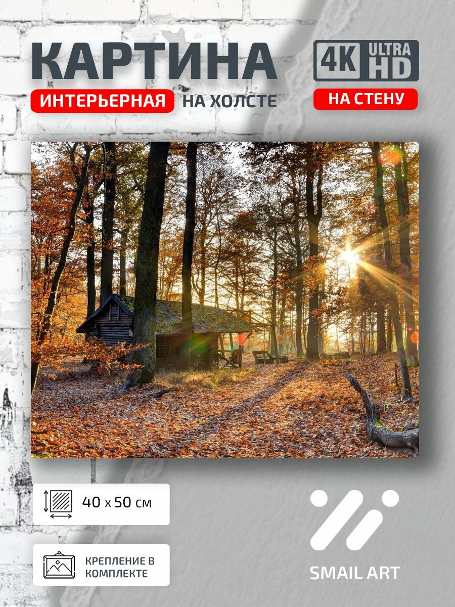 Картина на холсте интерьерная 40 на 50 на стену Лучи Landscape для кабинета пейзаж интерьер