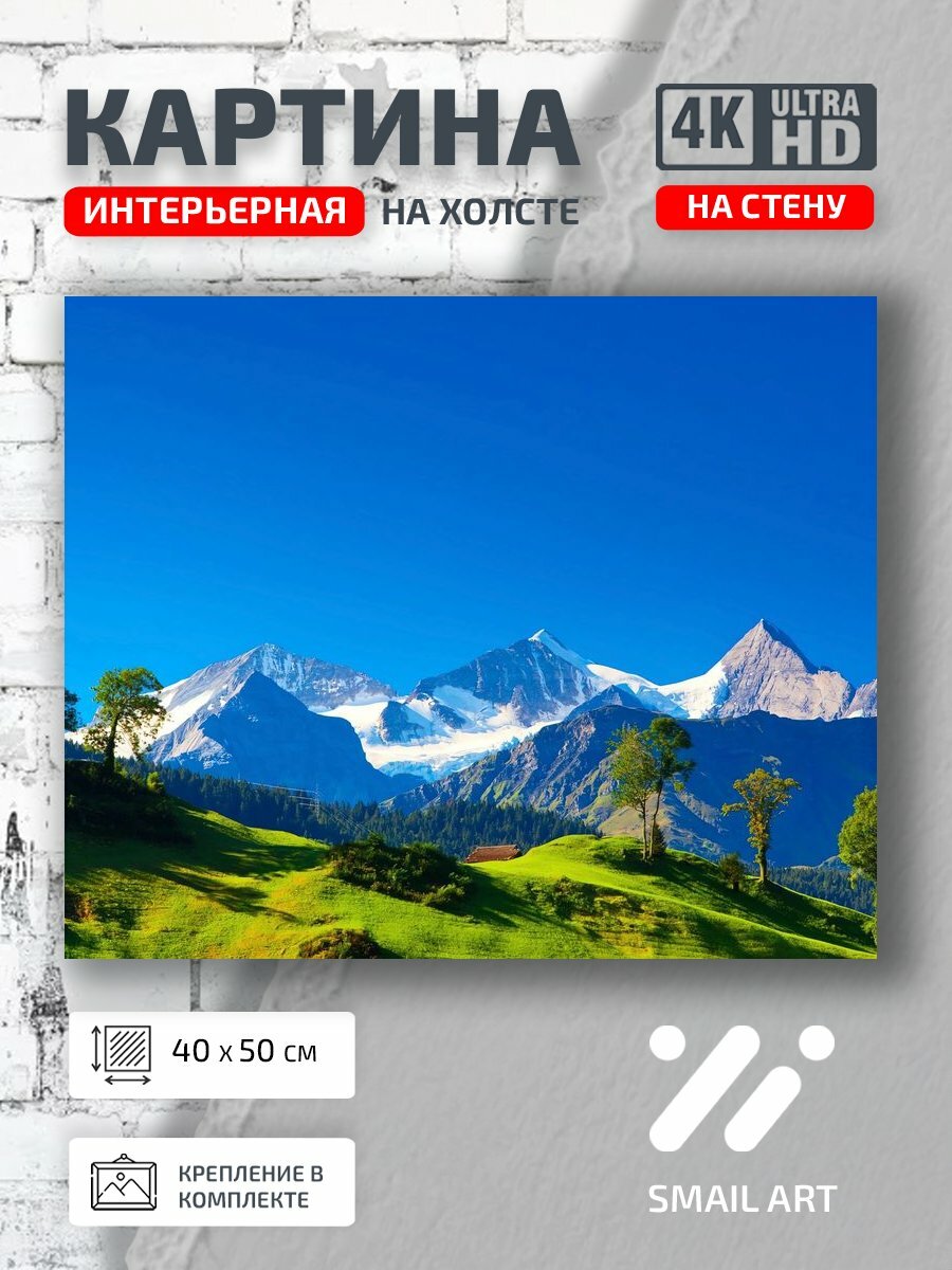 Картина на холсте интерьерная 40 на 50 на стену Снег Landscape для гостиной пейзаж интерьер