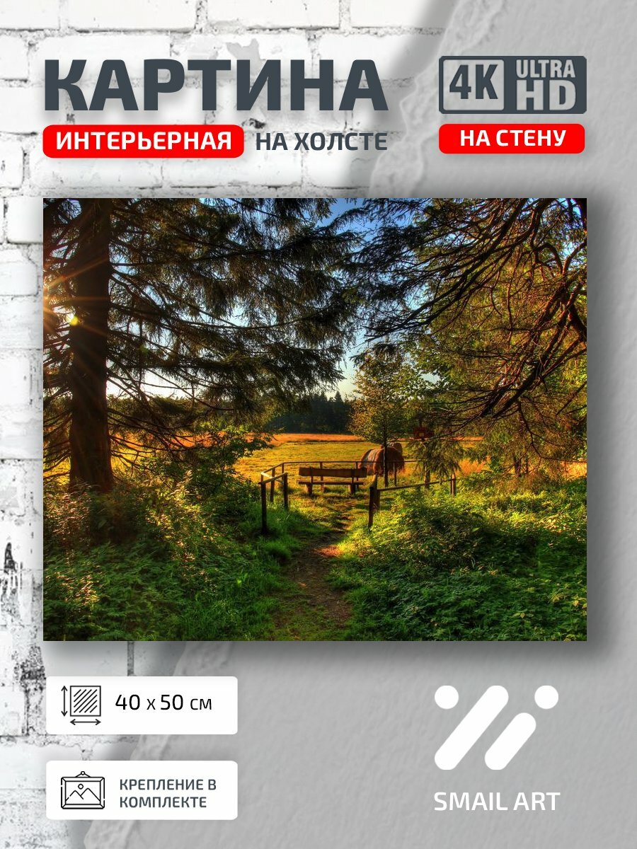 Картина на холсте интерьерная 40 на 50 на стену Деревне Landscape для офиса пейзаж интерьер