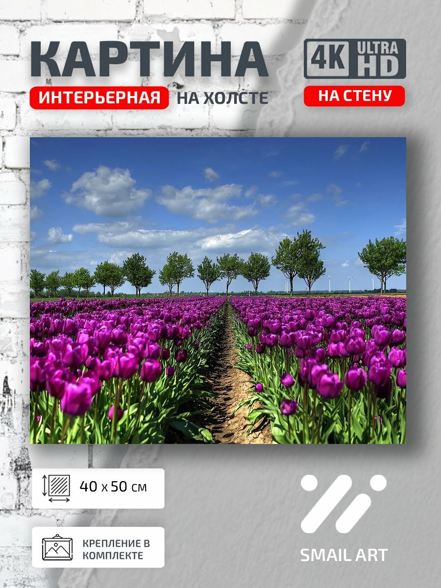 Картина на холсте интерьерная 40 на 50 на стену Поле Landscape для кабинета пейзаж интерьер