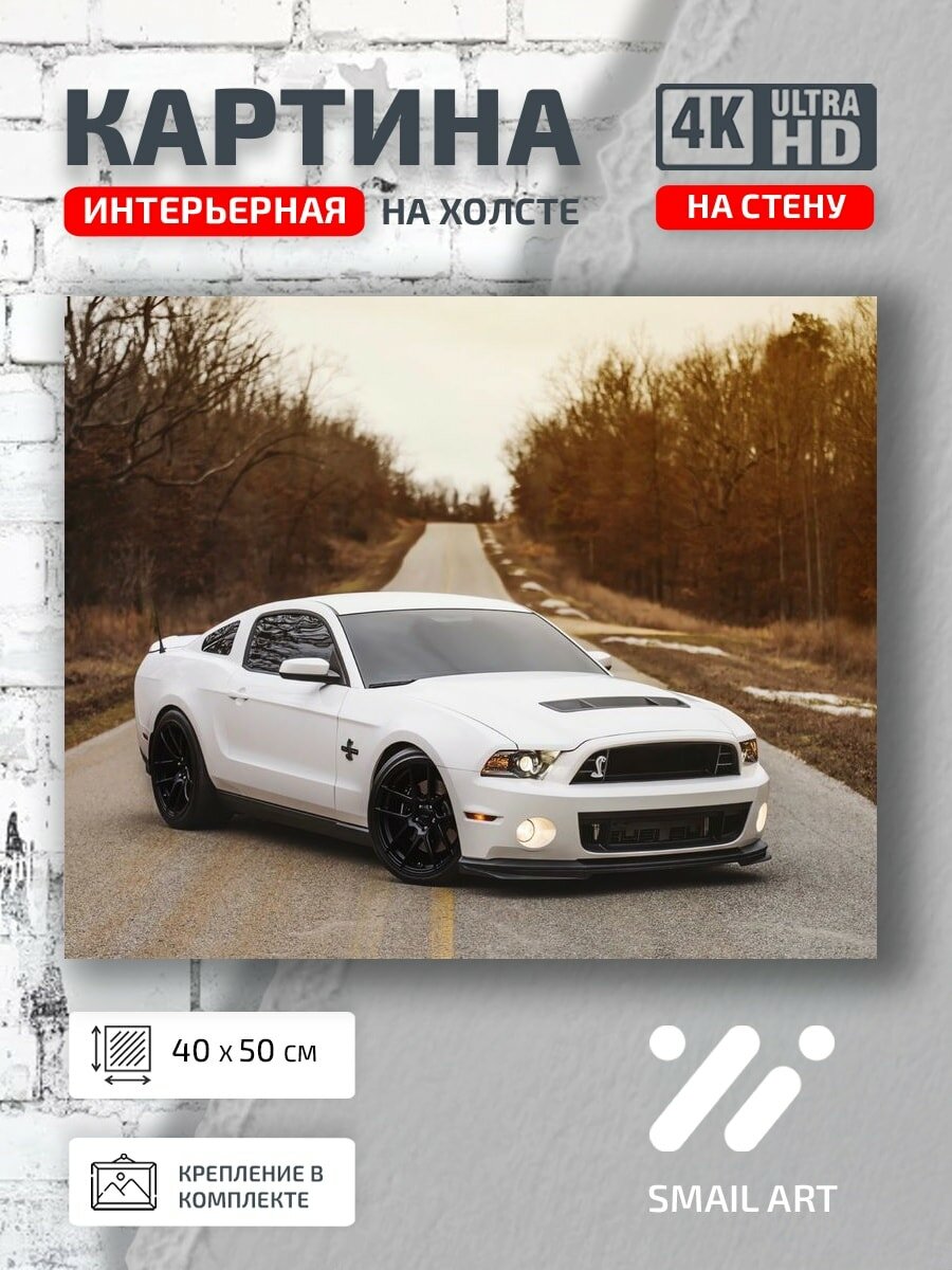 Картина на холсте интерьерная 40 на 50 на стену Shelby GT500 для кабинета атмосфера