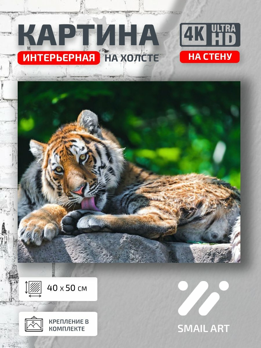 Картина на холсте интерьерная 40 на 50 на стену Тигра Animal для гостиной animal style