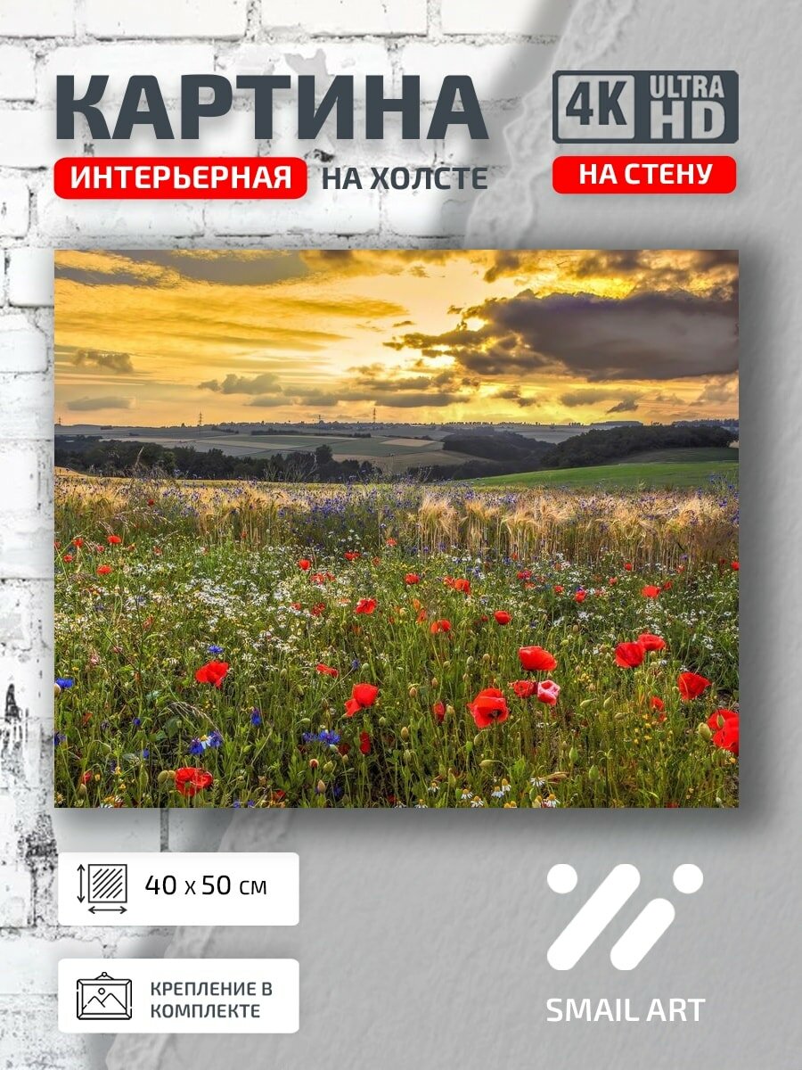 Картина на холсте интерьерная 40 на 50 на стену маковое поле для спальни атмосфера