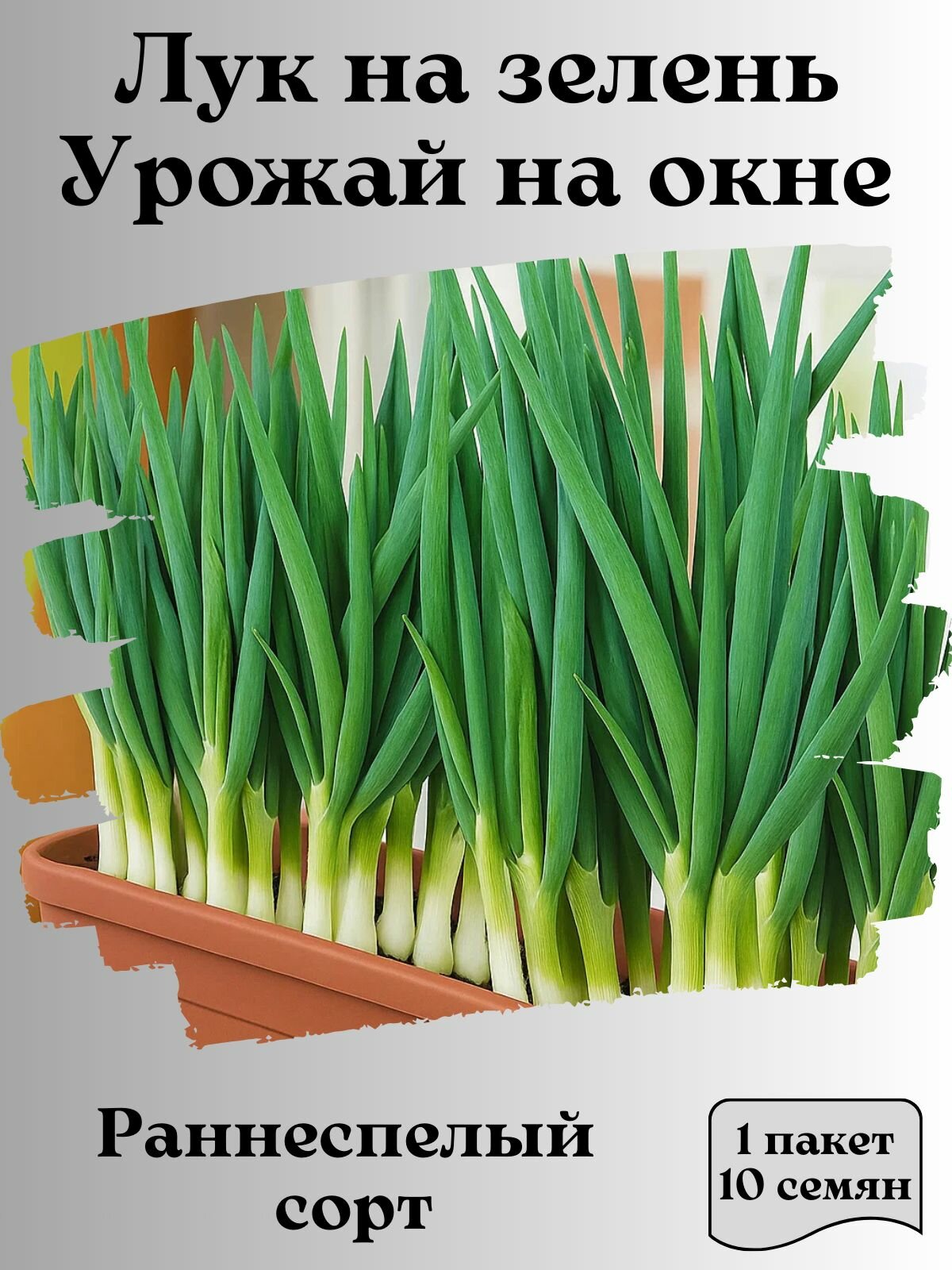 Лук на зелень Урожай на окне, семена, 10 шт, 15 гр.