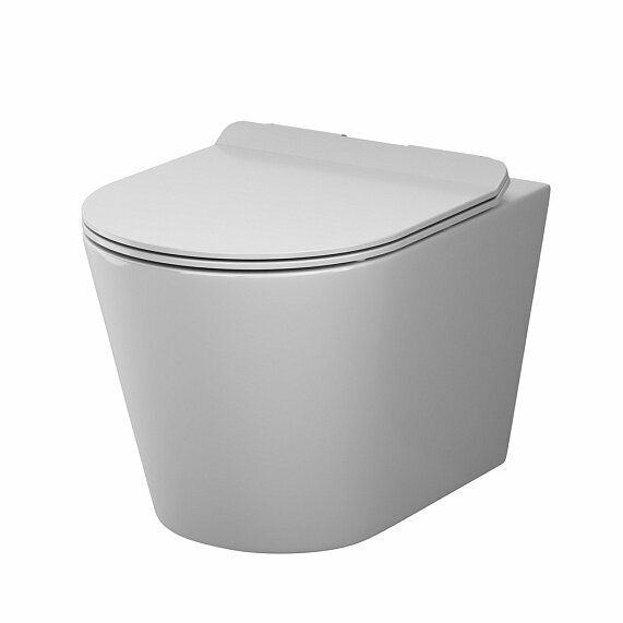 Унитаз подвесной Sunny FlashClean 49см + сиденье микролифт C85C1701SC AM.PM