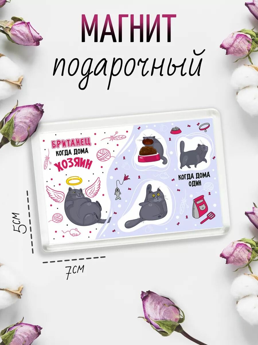 Магнит с рисунком котов разных пород Когда дома один Британ, акриловый, размер 7*5 см