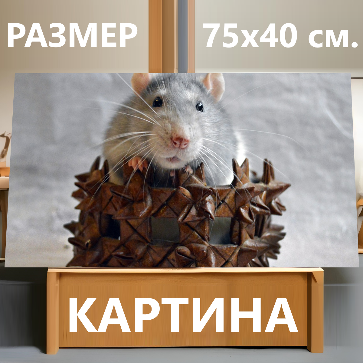 Картина на холсте "Крыса, декоративная, в корзинке" на подрамнике 75х40 см. для интерьера