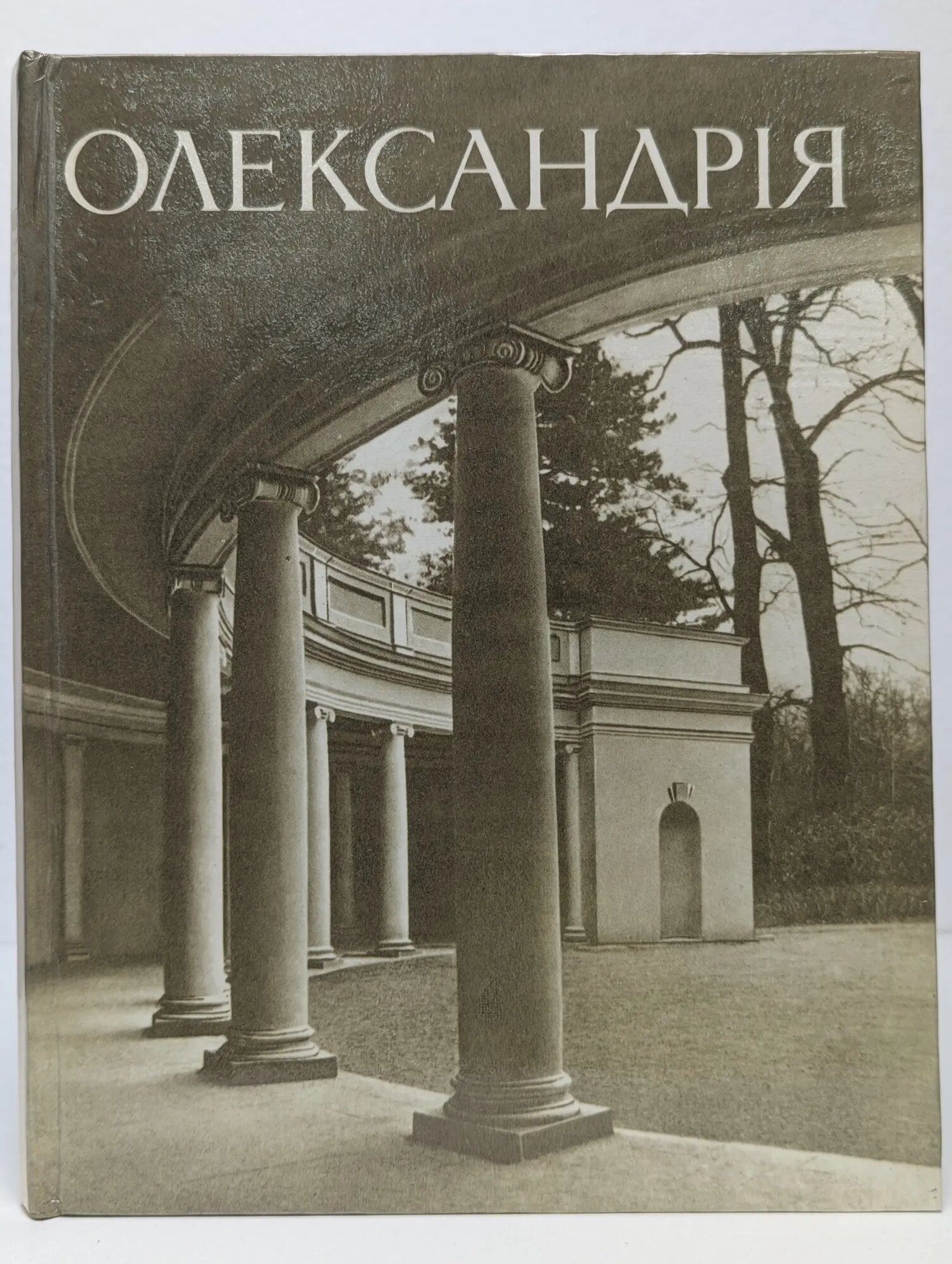 Олександрия Криворучко Дмитро Михайлович 1979