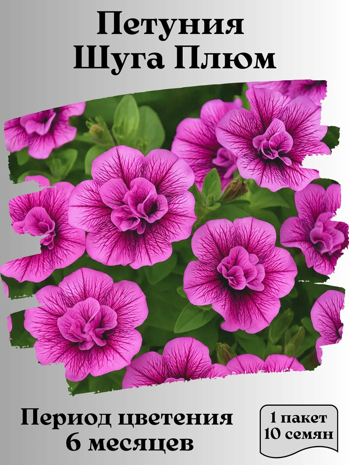 Петуния Шуга Плюм, семена, 10 шт, 15 гр.
