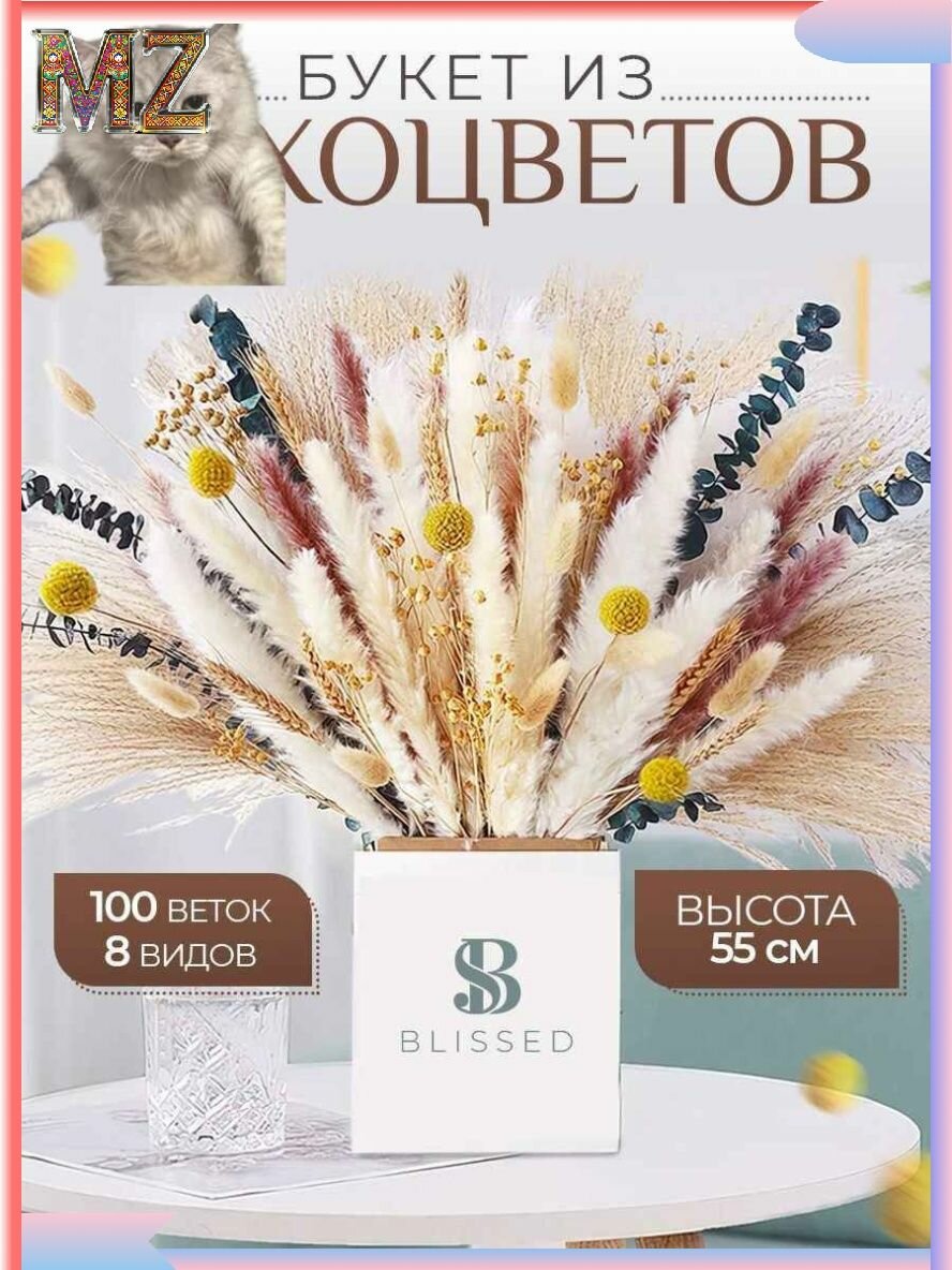 Сухоцветы Краспедия, Эвкалипт, 55 см, 200 гр