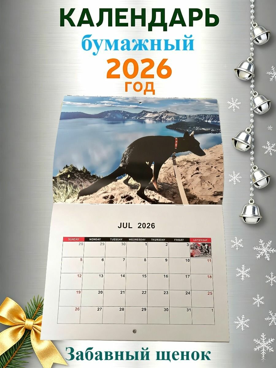 Календарь на 2026 год большого формата Собака, которая какает милый и забавный дизайн, подходящий для украшения дома любителей собак