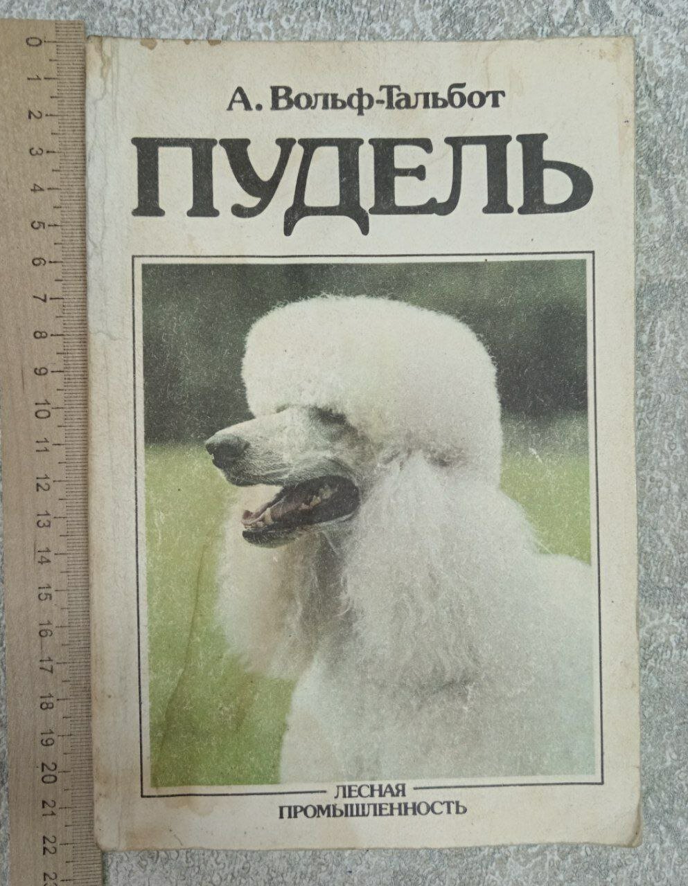 Пудель.