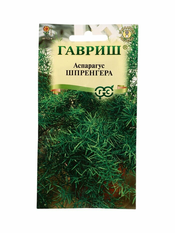 Семена цветов Аспарагус густоцветковый Шпренгера* 4 шт. 10965293