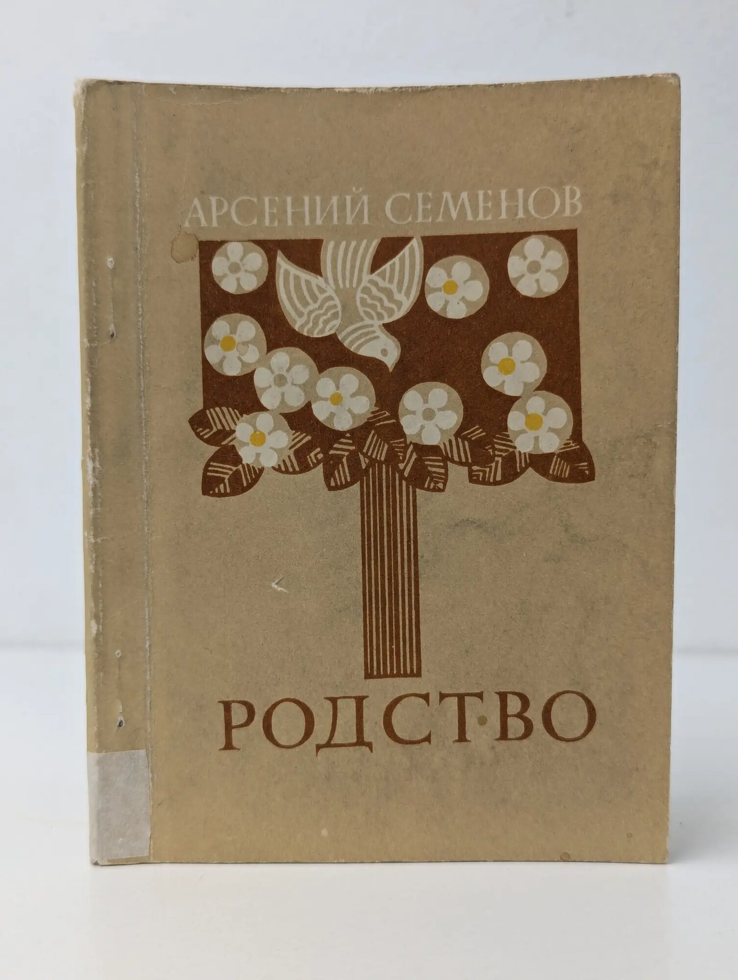 Родство Семенов Арсений Васильевич 1972