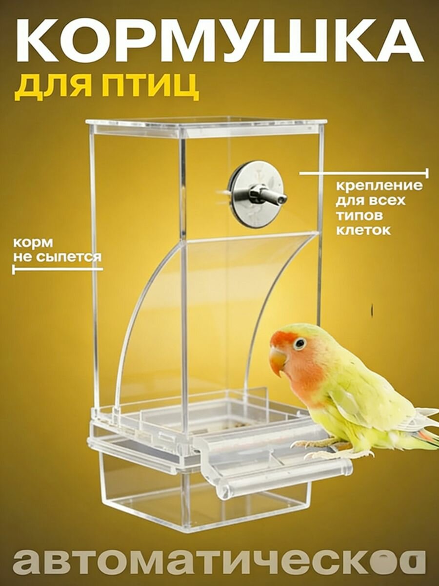 Кормушка для птиц, Big Jungle, автоматическая, кормушка для попугаев