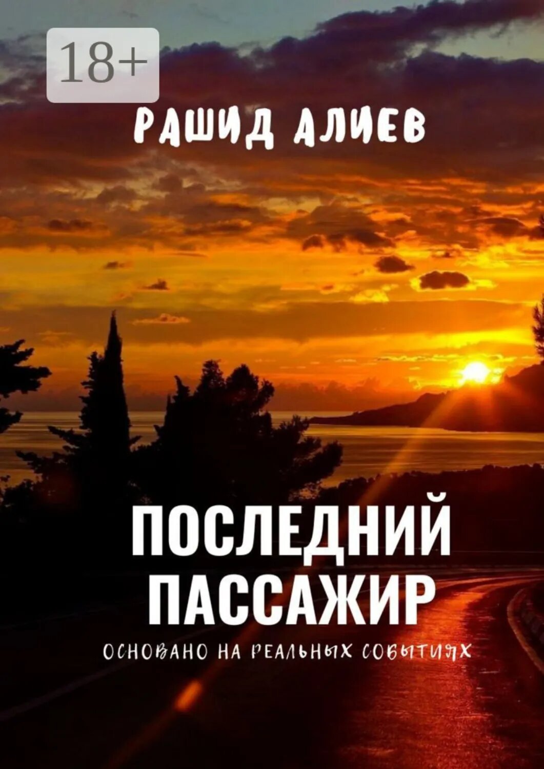 Последний пассажир [Цифровая книга]