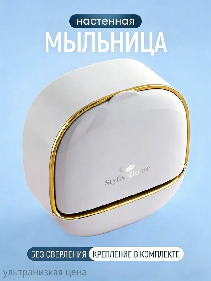 Мыльница