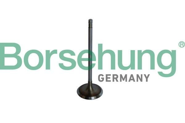Клапан впускной Borsehung B10325 Citroen C4 08-, Peugeot 207, 308 07-