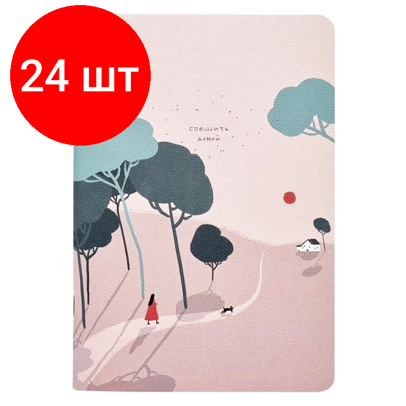 Комплект 24 штук, Тетрадь общая А5 40л. клетка, скрепка, Be Smart, Soul, N3785
